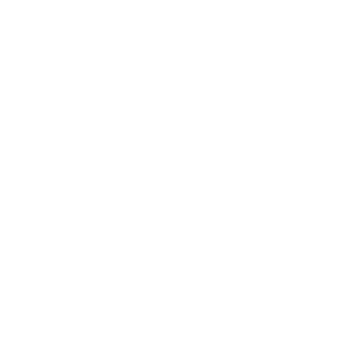 Bloom | Fastest Telegram Sniper Bot for BSC (Binance Smart Chain)